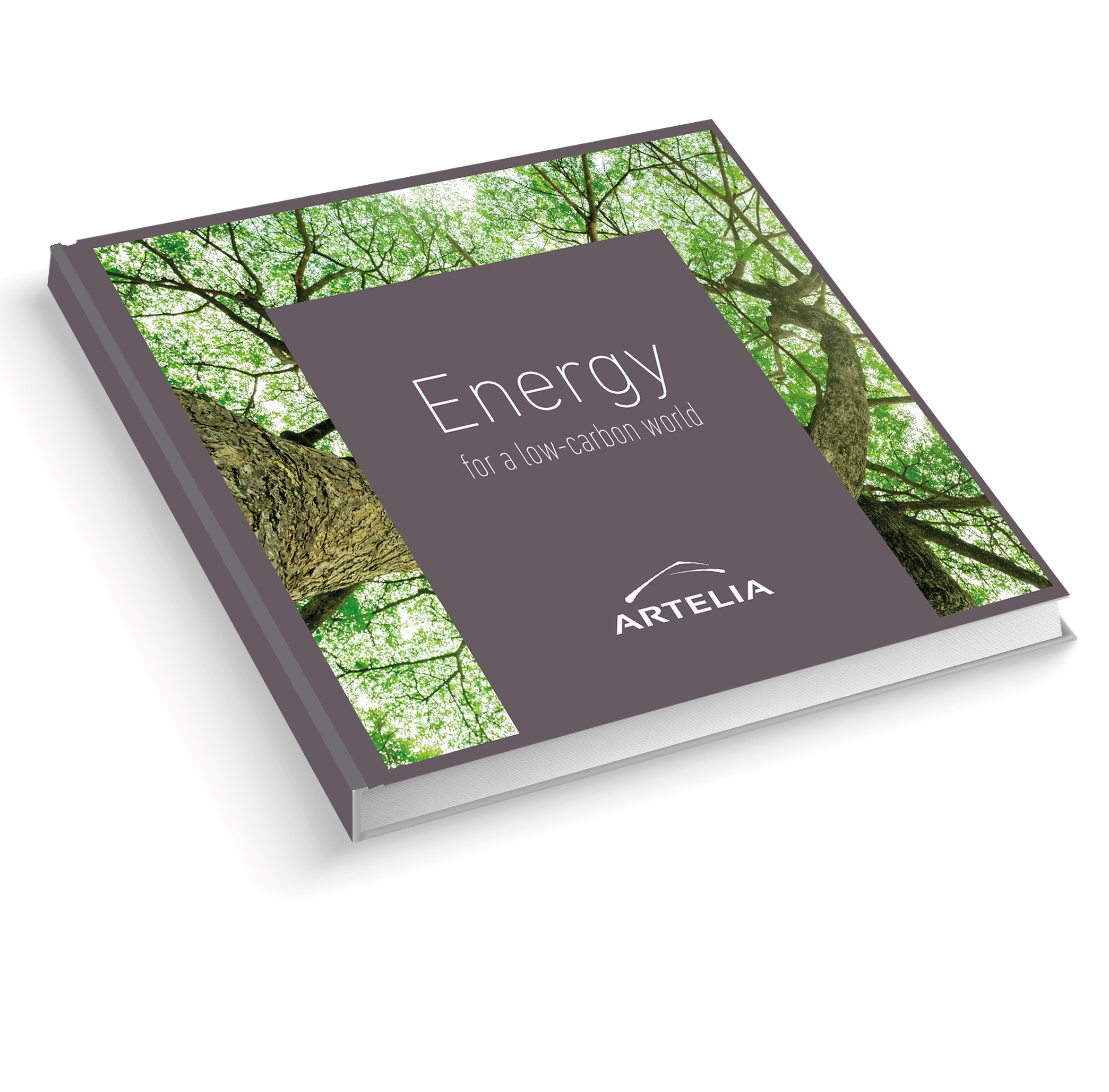 "Energy for a low-carbon" Book - Artelia Group